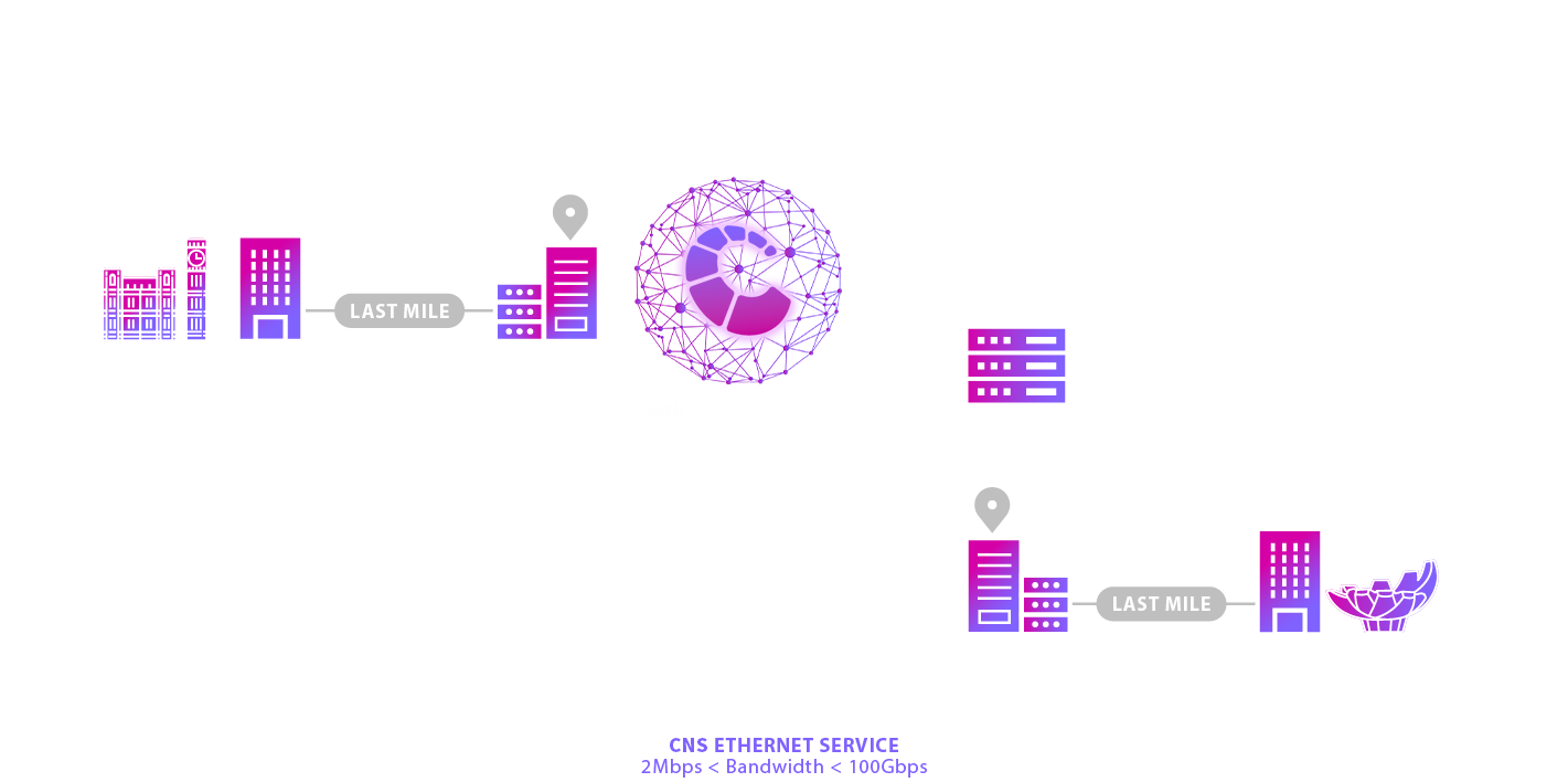 Ethernet Services | CNS Telecommunications