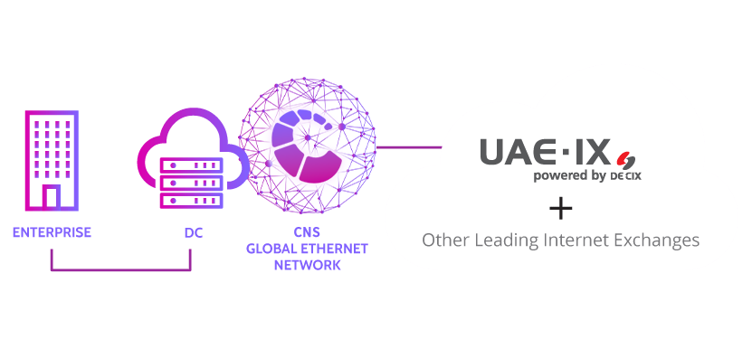 Dubai's Internet Exchange (UAE-IX) via Remote Peering | CNS ...